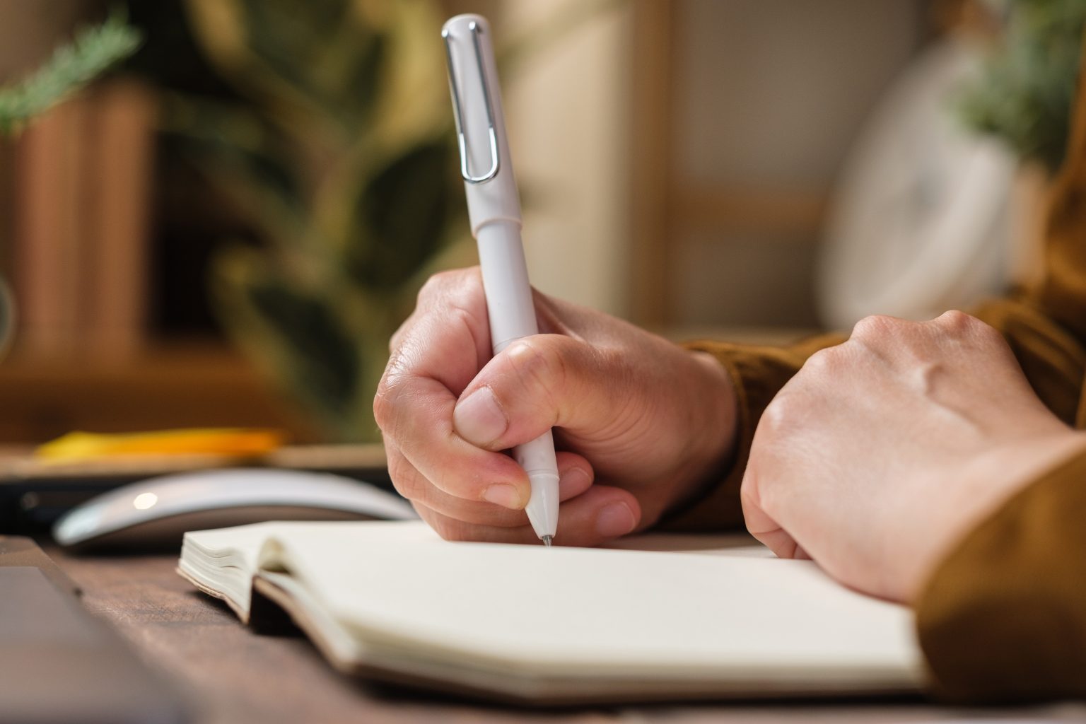 Orthodidacte - Orthodidacte